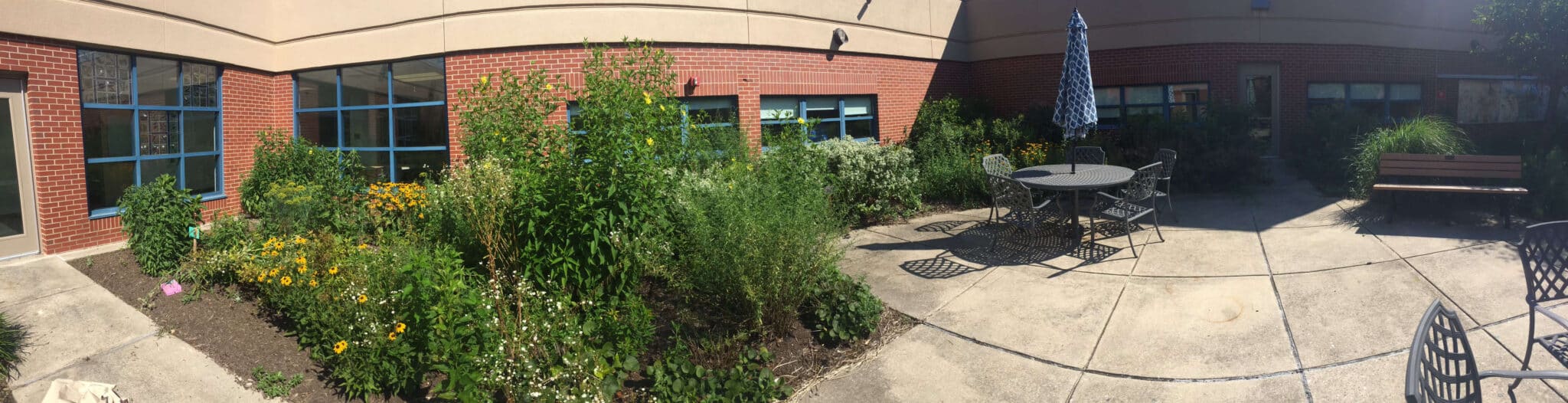 Celebrating Earth Day in Schools - Ideas from a Teacher